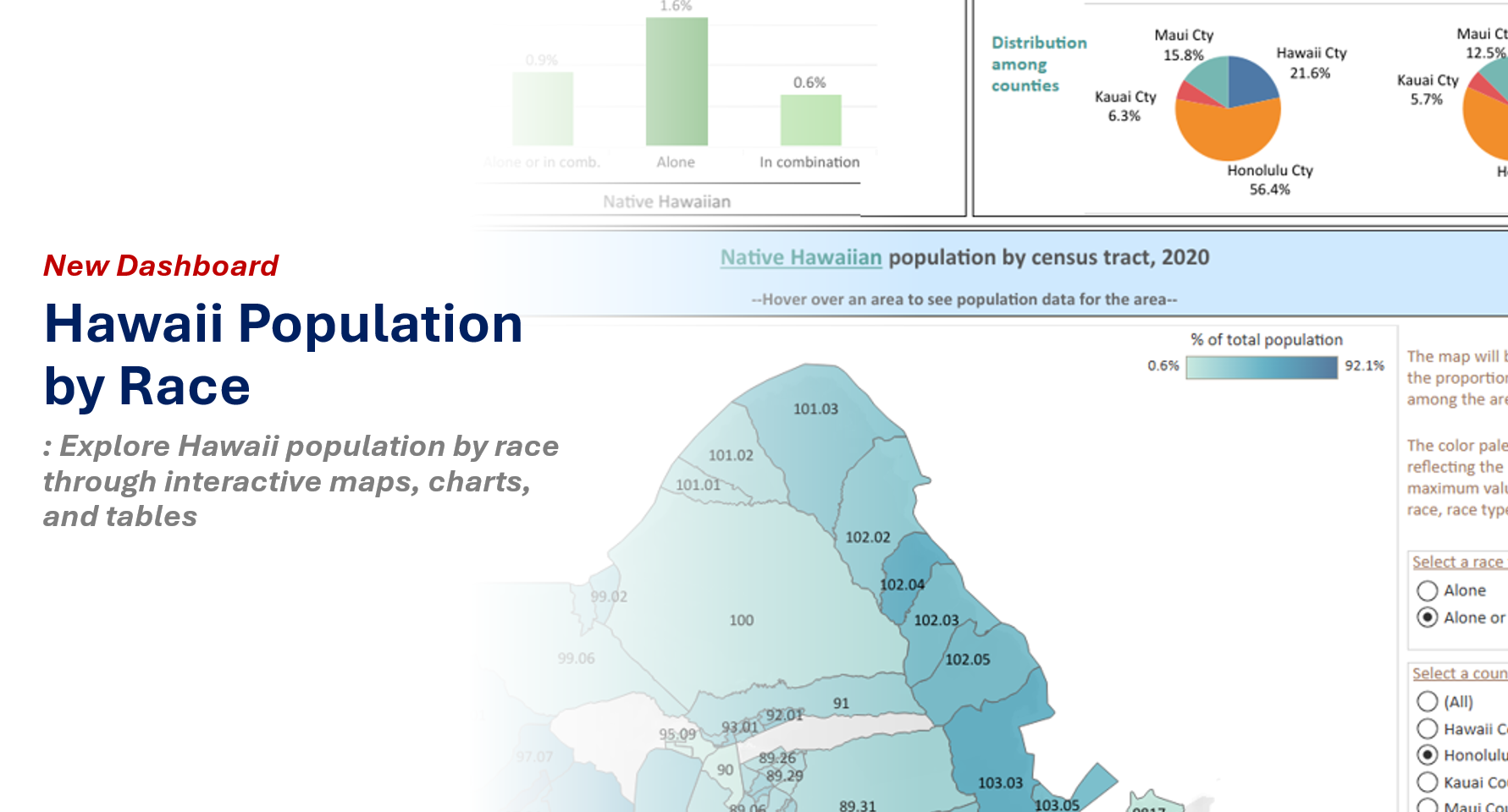 Research & Economic Analysis | Hawaii Population by Race